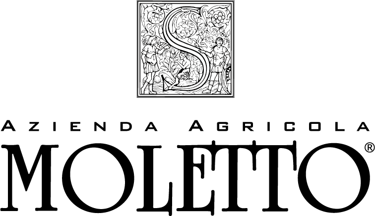 Discover India's Best Wines and Premium Imports: Wine Importer India